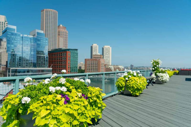 Cityscapes - Exterior Landscapes