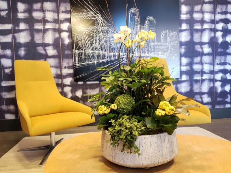 Living Art - Cityscapes