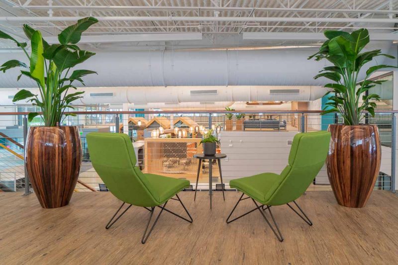 Interior Plantscapes - Cityscapes