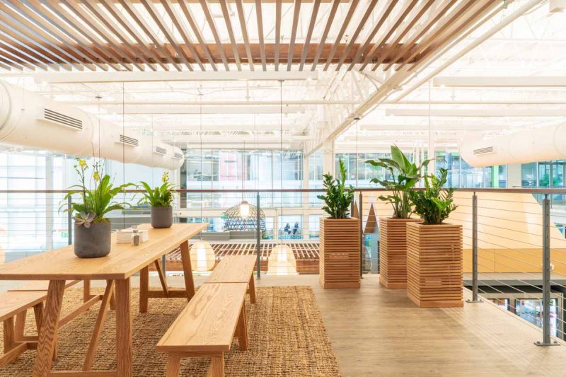 Interior Plantscapes - Cityscapes