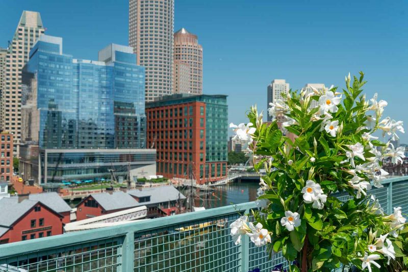 Exterior Landscapes - Cityscapes