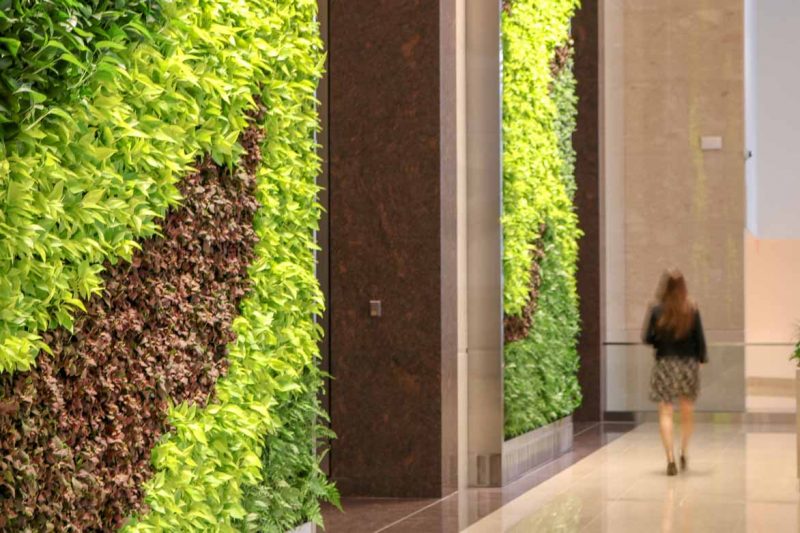 Living Walls - Cityscapes