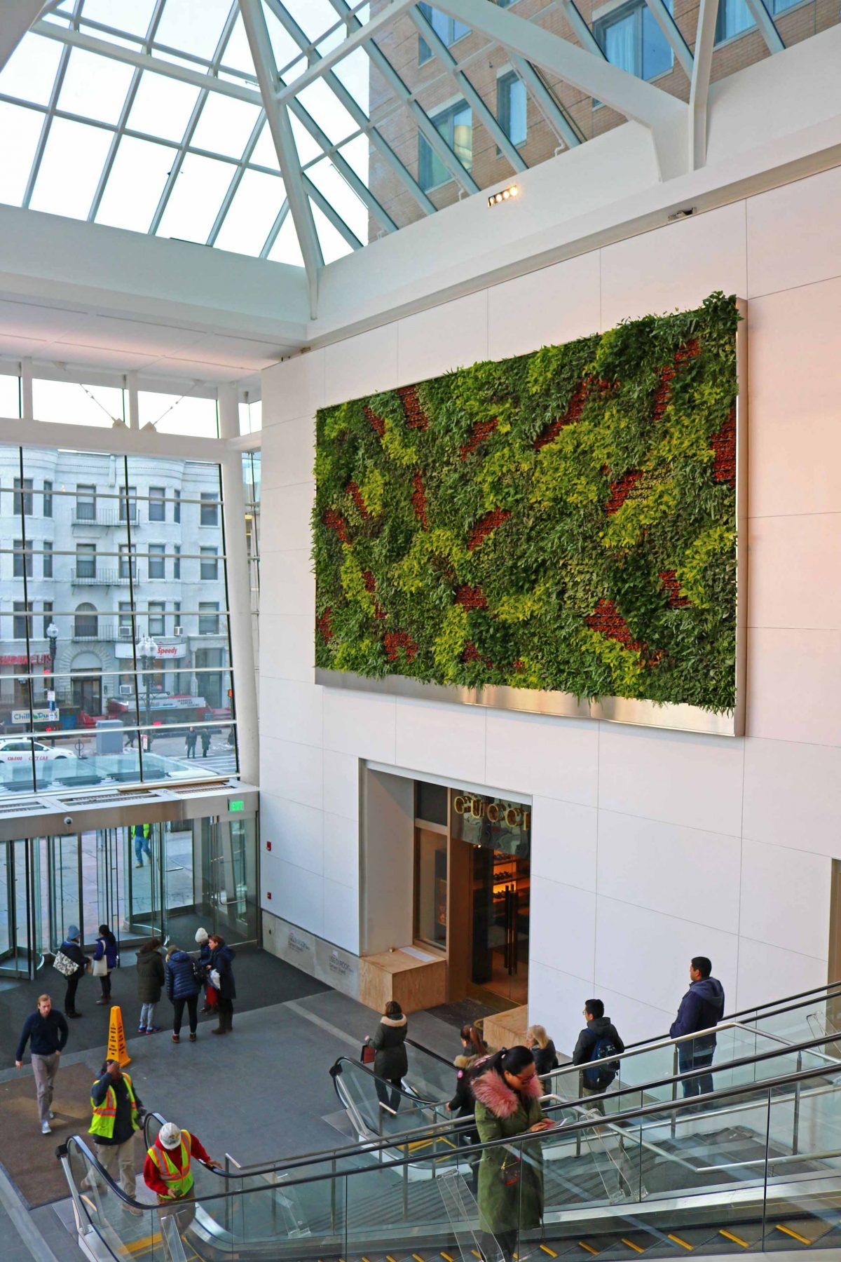Living Walls - Cityscapes