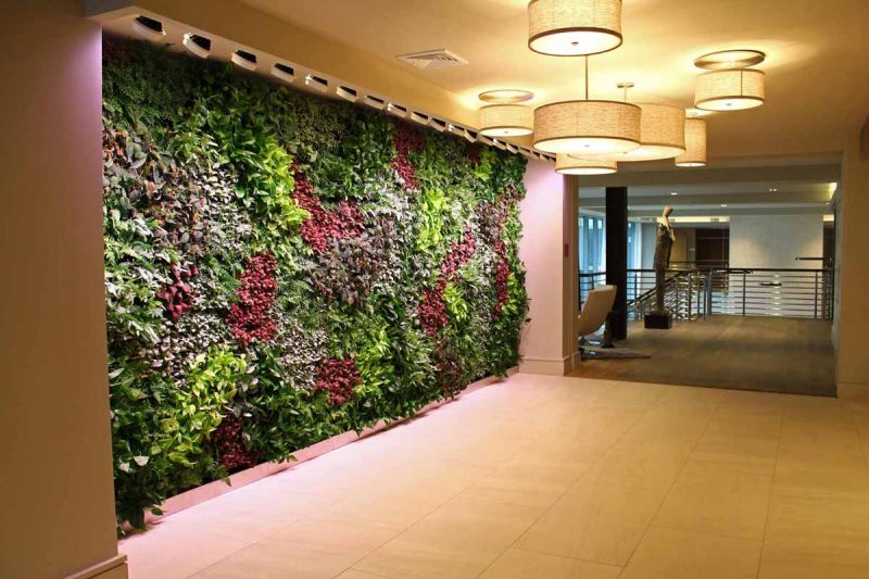 Living Walls - Cityscapes