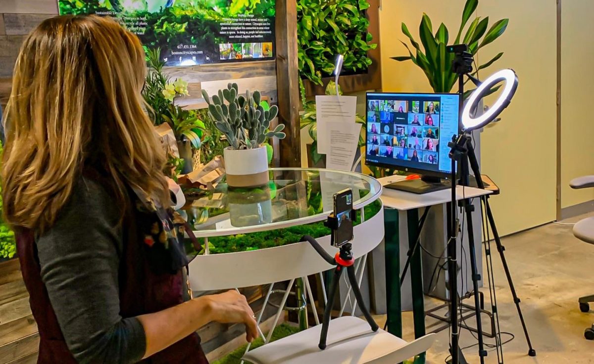 Host a Stay Planted Party - Cityscapes