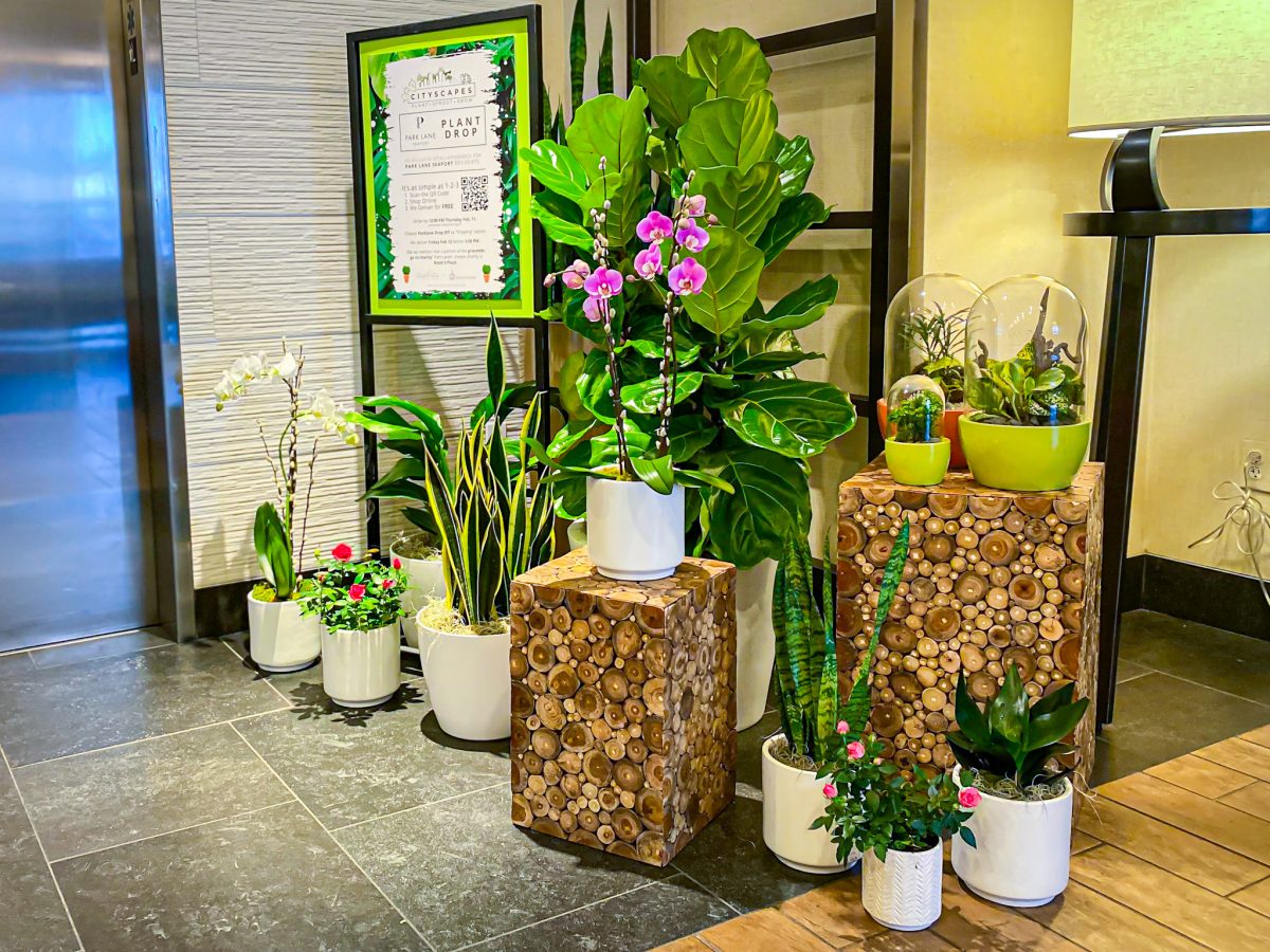 Introducing Cityscapes Plant Drops - Cityscapes