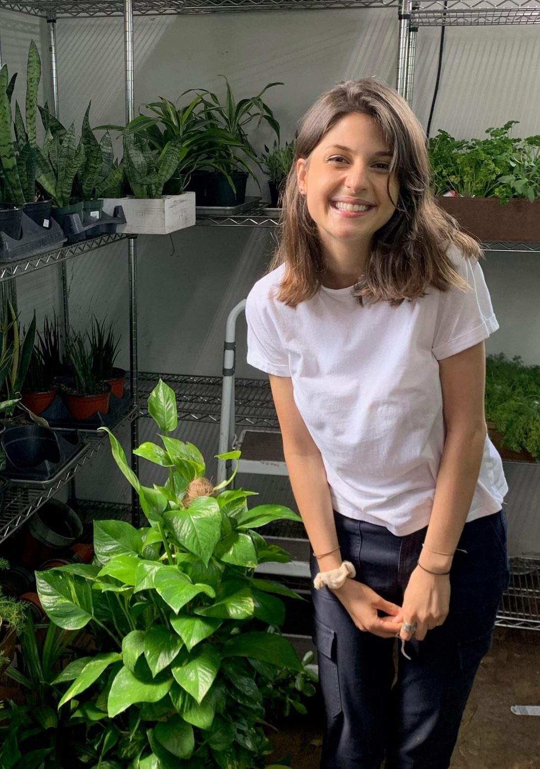 The Team - Cityscapes