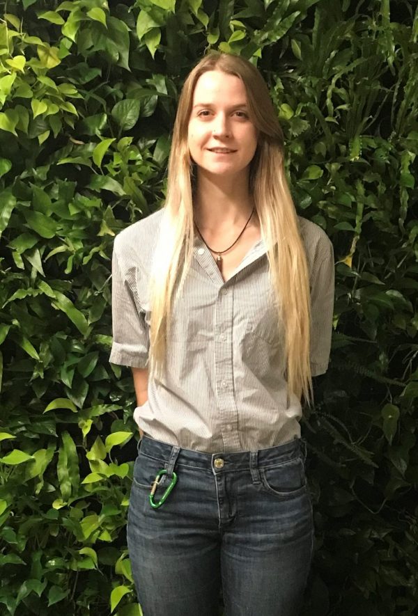 The Team - Cityscapes