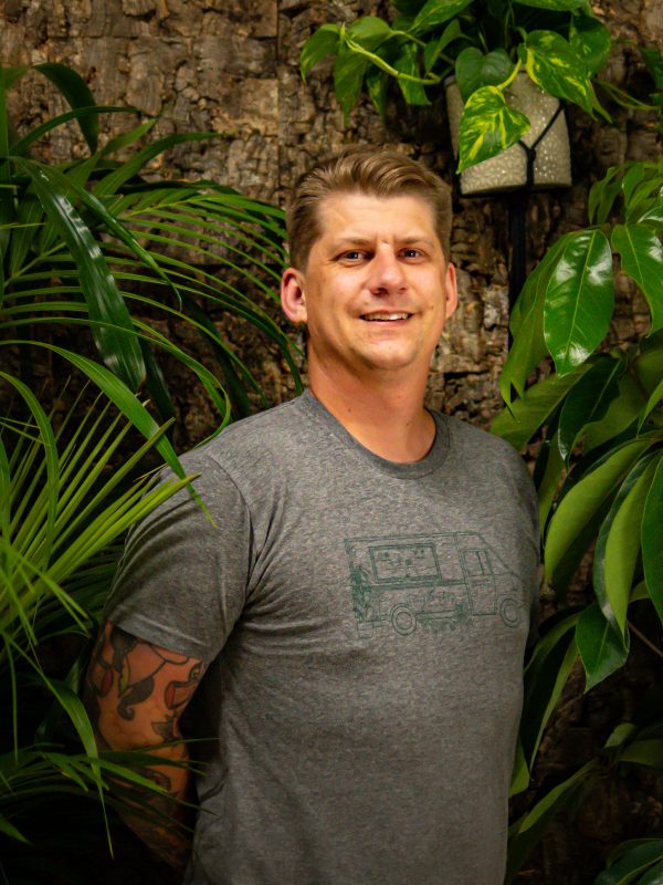 The Team - Cityscapes