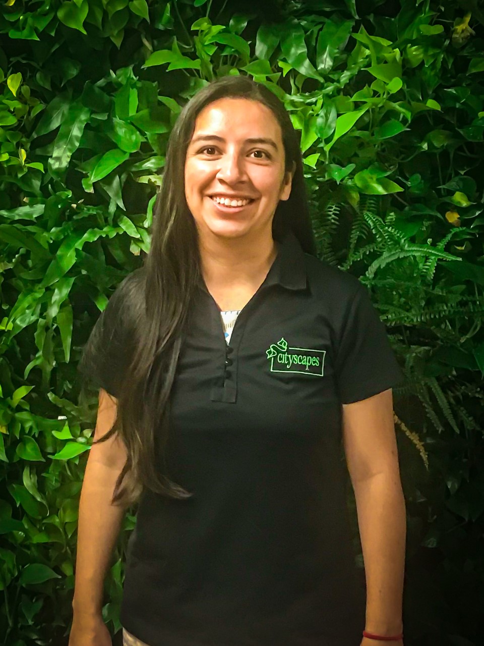 The Team - Cityscapes