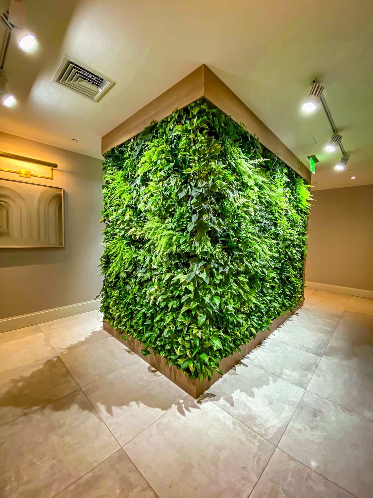 Living Walls - Cityscapes