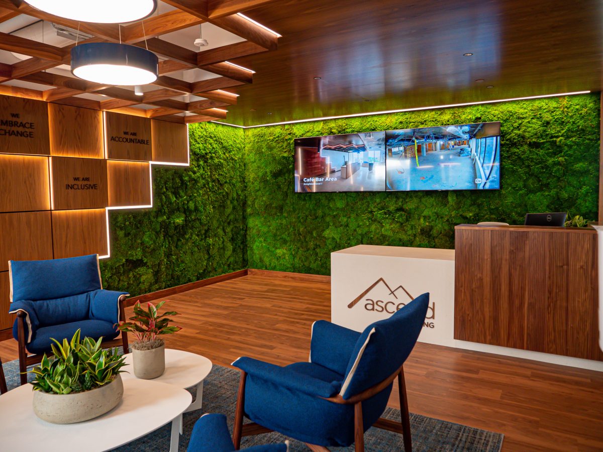 Preserved Moss Walls - Cityscapes