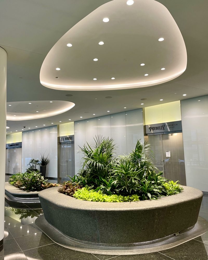 Interior Plantscapes - Cityscapes