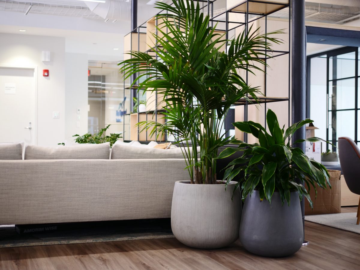 Interior Plantscapes - Cityscapes