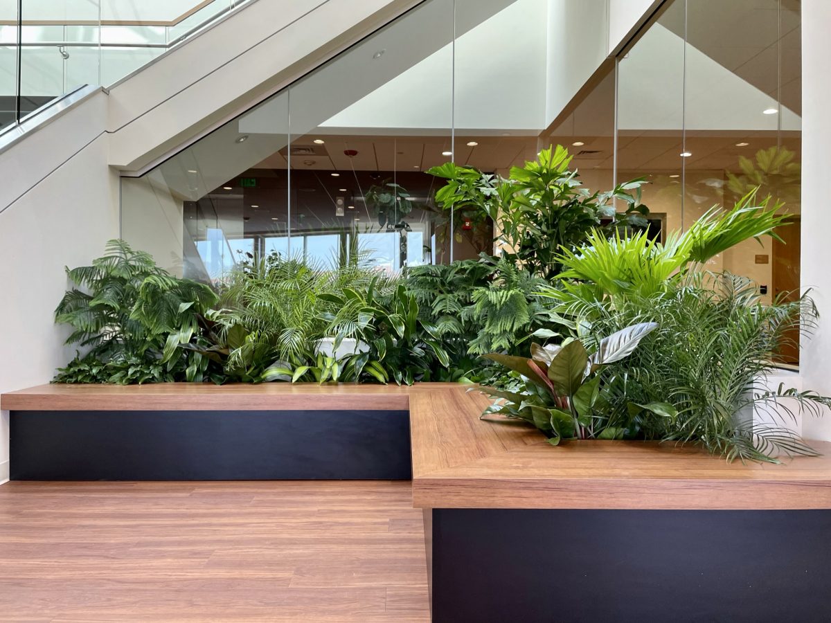 Interior Plantscapes - Cityscapes