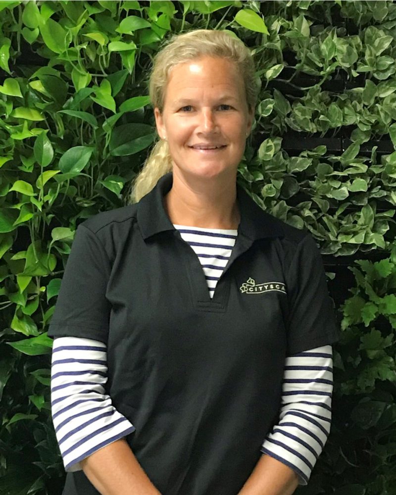 The Team - Cityscapes