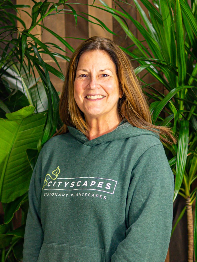 The Team - Cityscapes