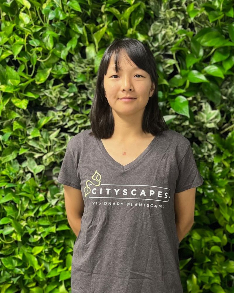 The Team - Cityscapes