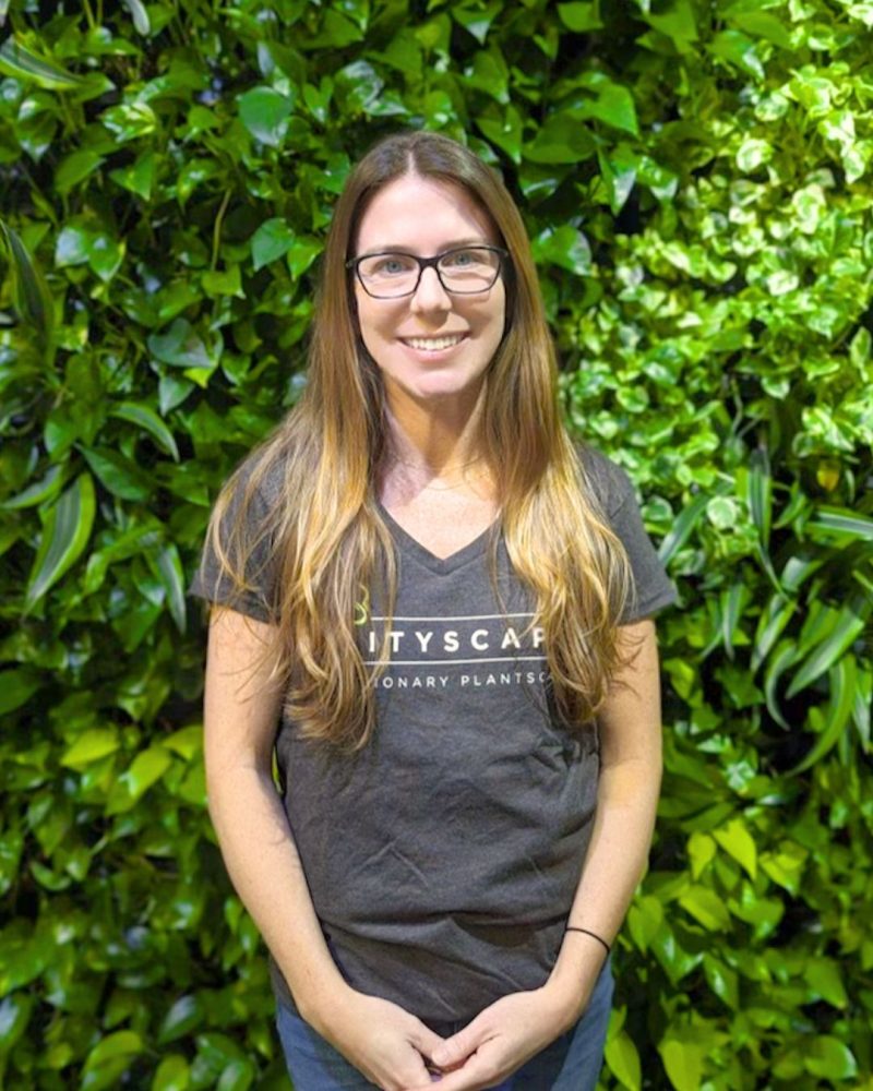 The Team - Cityscapes