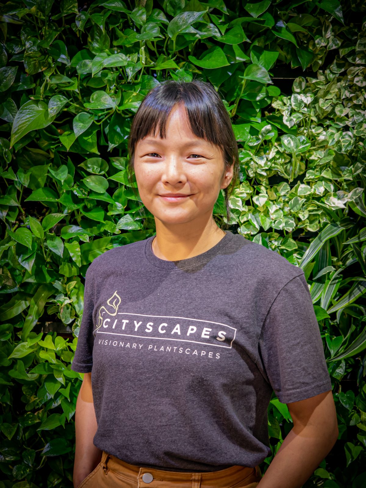 The Team - Cityscapes