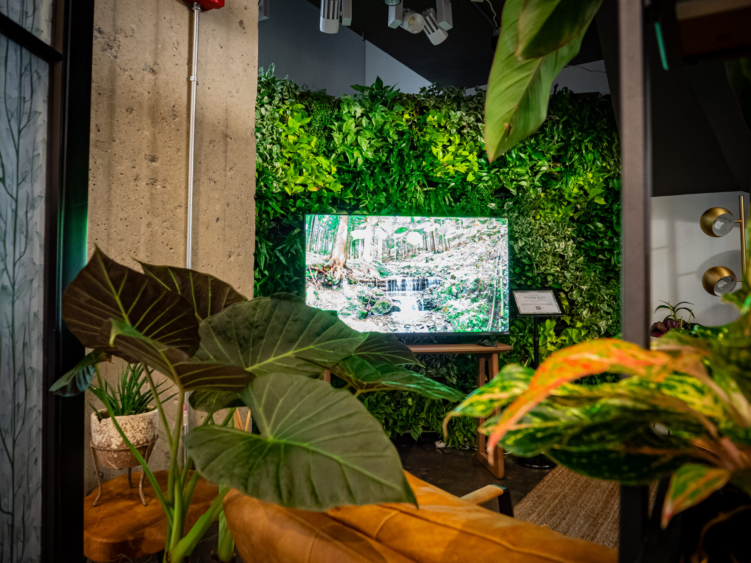 Immersion Rooms - Biophilic spaces that promote wellness