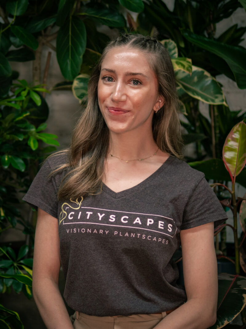 The Team - Cityscapes